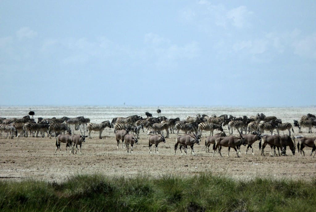 11 Incredible Landscape Photos That Will Inspire You To Visit Namibia ...