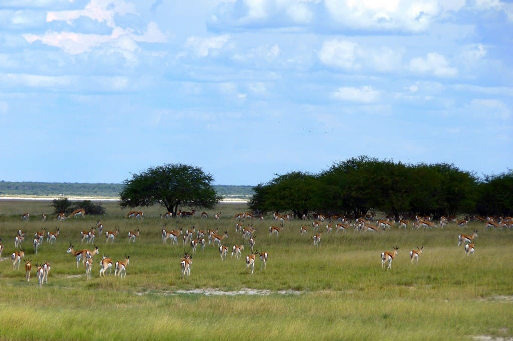 11 Incredible Landscape Photos That Will Inspire You To Visit Namibia ...