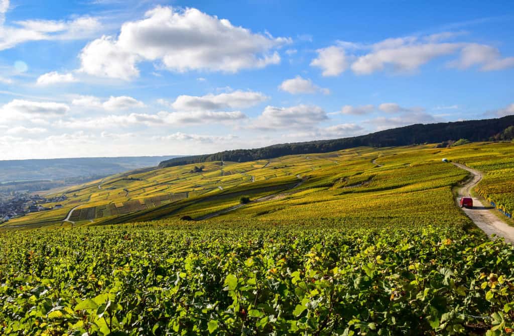 Uncork the Bubbly: The Best Day Tour to Champagne, France - Travel ...